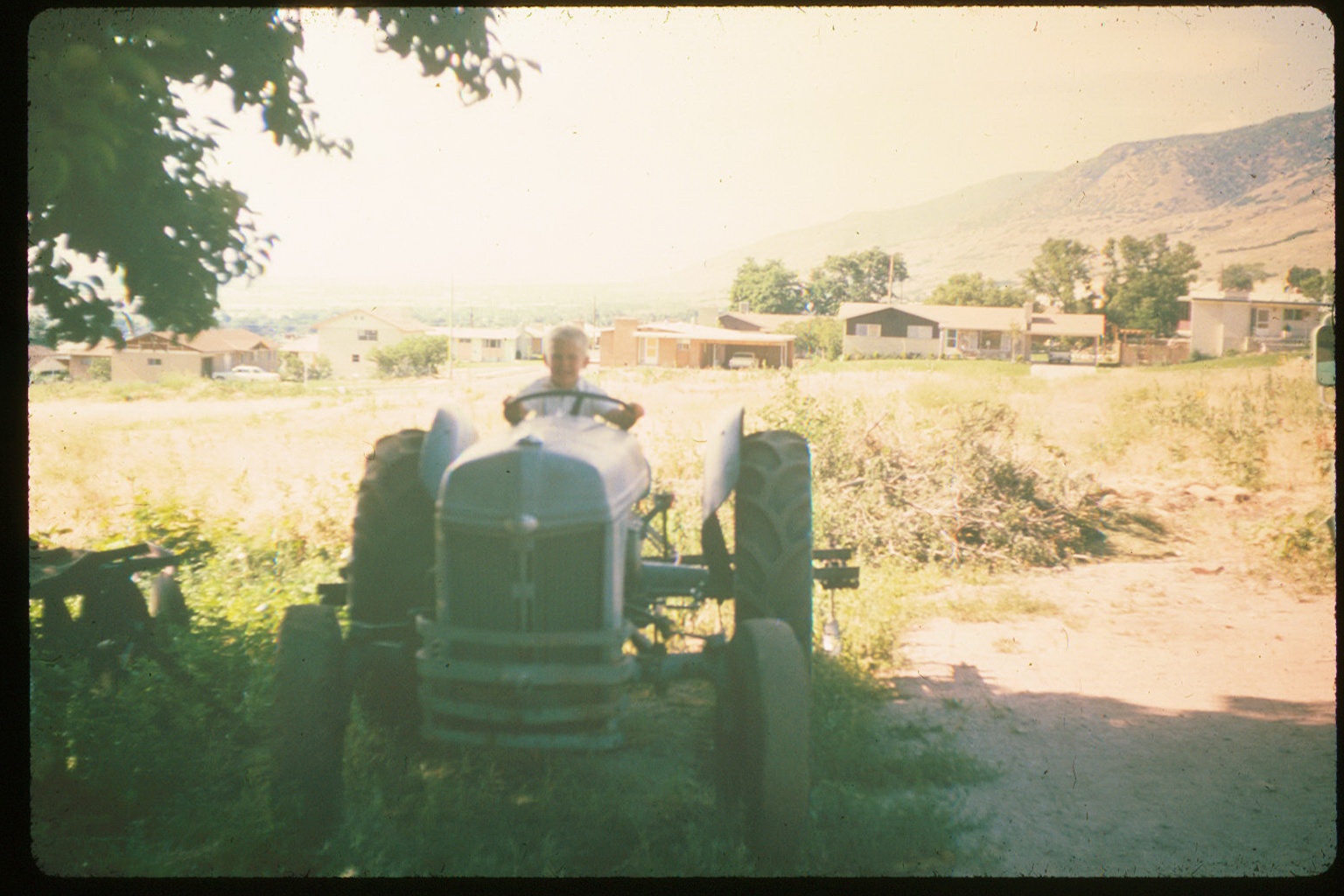 The Tuttle Family Gone Before: Harvest Time