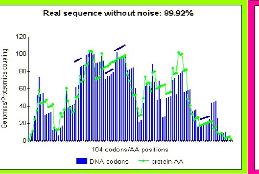 golden ratio and numbers in DNA- CODEX BIOGENESIS: les 13 codes de l ...