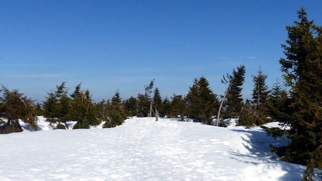 Naturwunder ...: Skitour über den Hinterberg