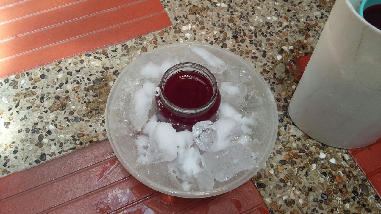 Procedimiento Investigativo: EXPERIMENTO SOBRE EL EFECTO PRODUCIDO DE ...