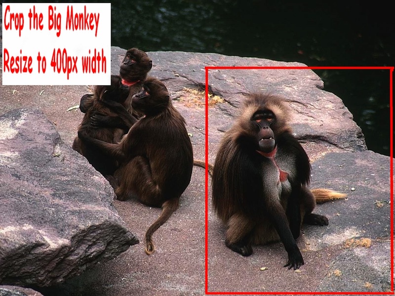 Miss Arty Pants: Digital Photo Editing