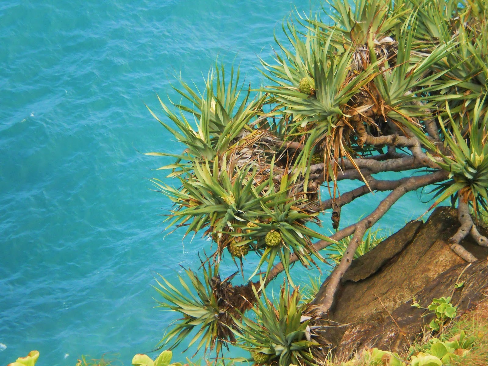 Robyn Holmyard: Printed Textiles Design