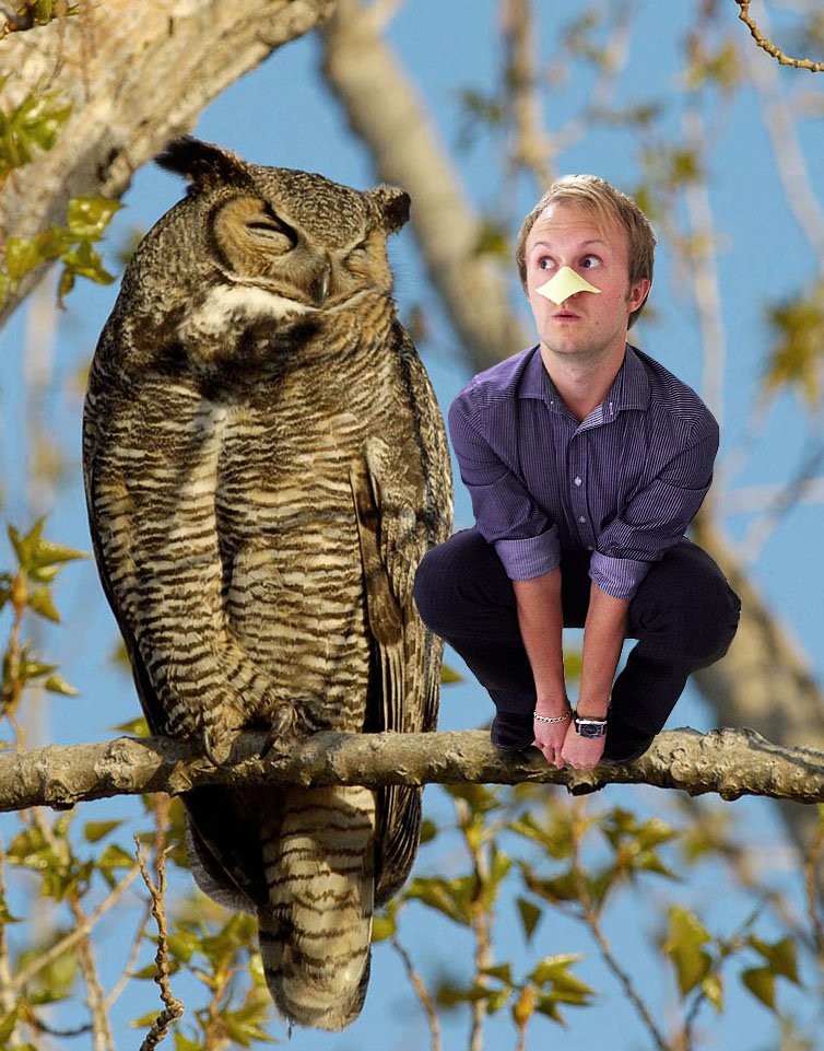 GARGANTA AFIADA: A moda Owling!