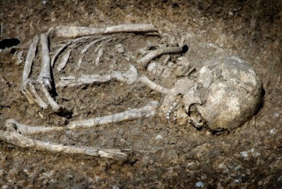 fact-u-ever-wanted-to-know-why-do-bones-remain-for-centuries-after-a