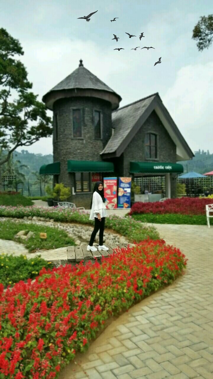 Hello Petualang !!: The Ranch Puncak Bogor, Kabar Gembira The Ranch ...