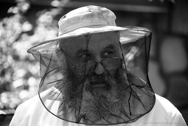 despre viata prin fotografie: despre pastoritul albinelor la Manastirea ...