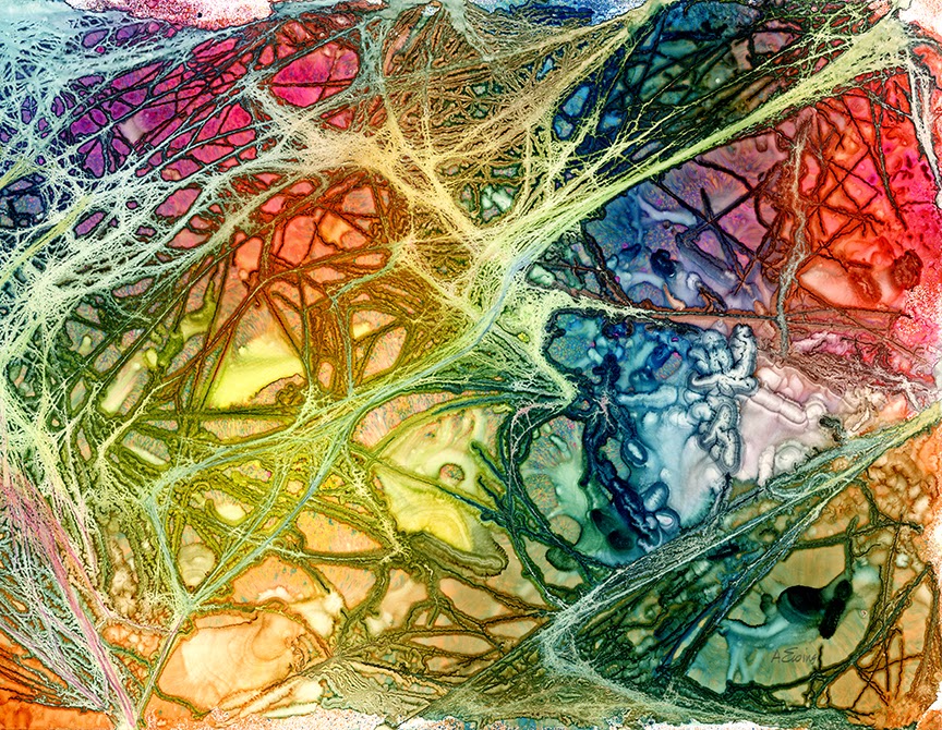 Anita Ewing Watercolors - and other media: 2014