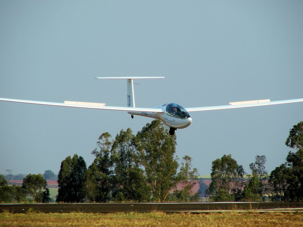 Pássaro de Prata: Planadores