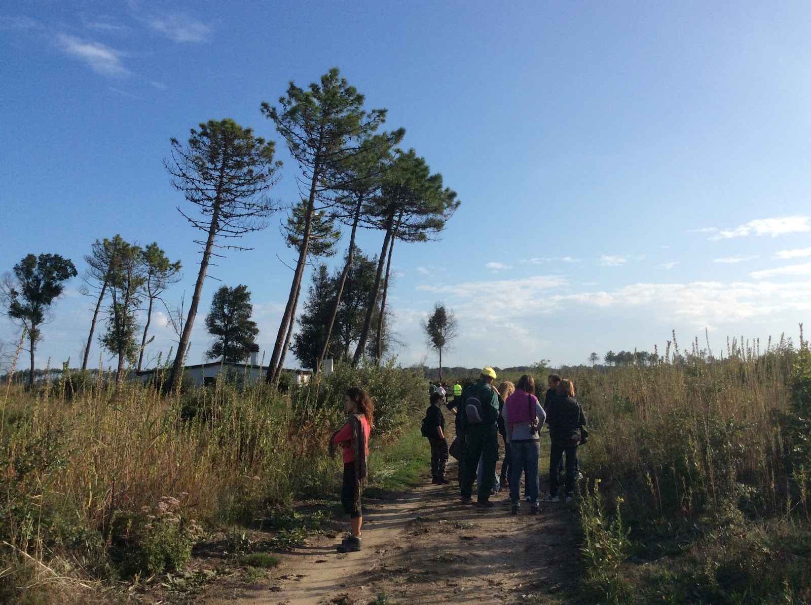 Living Ravenna: "Pineta di Classe": visita all'area chiusa al pubblico ...