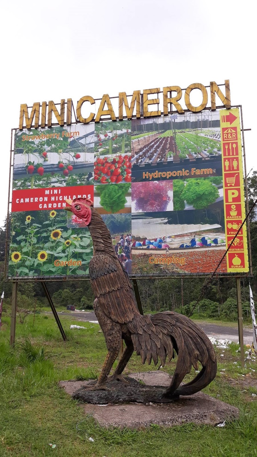 Mohd Faiz bin Abdul Manan: Mini Cameron Highlands Garden