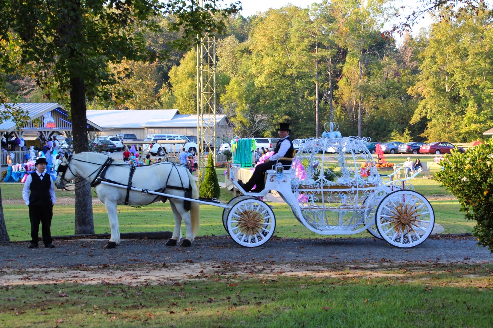 The Princess's Carriage