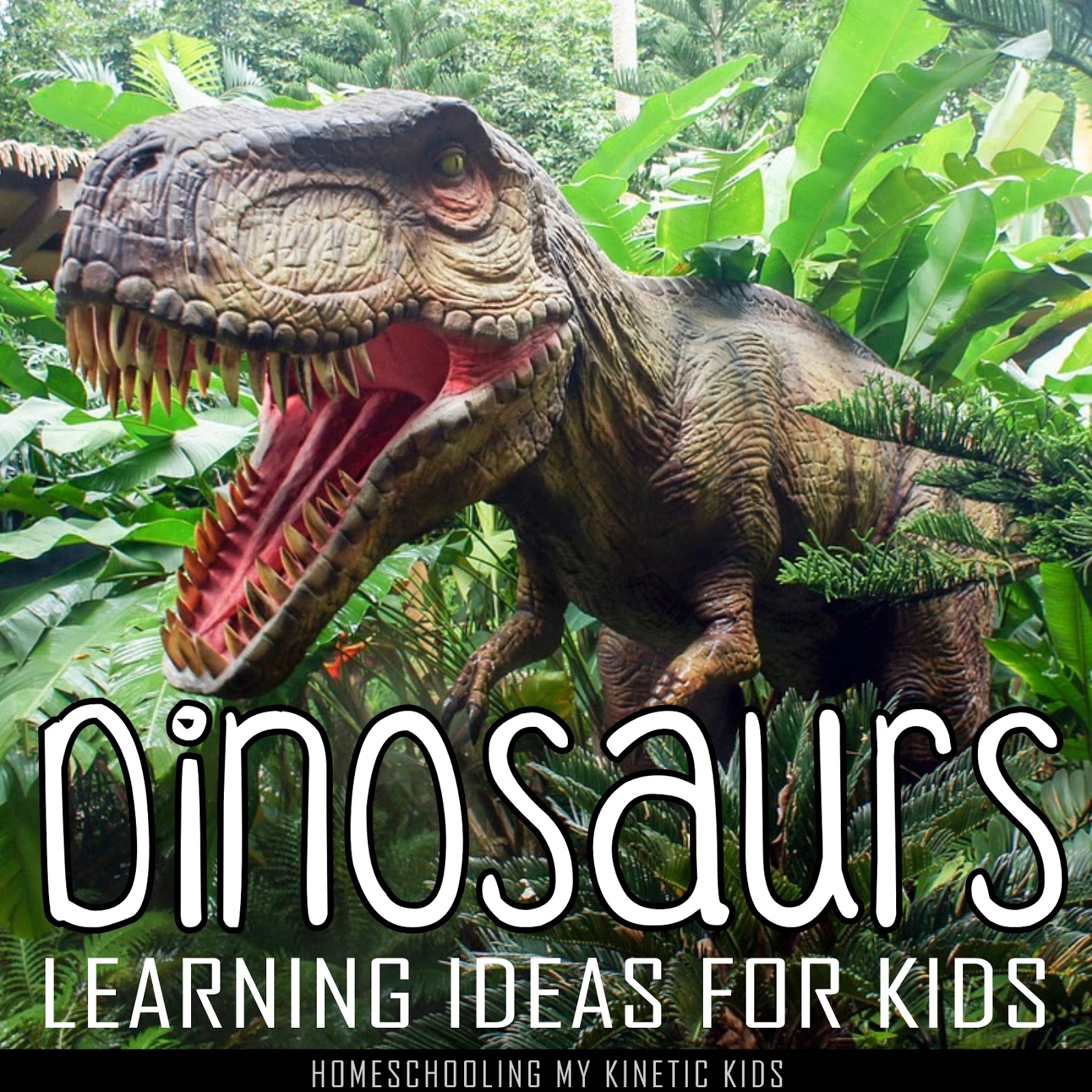 Dinosaur Learning Ideas dinosaur-learning-ideas