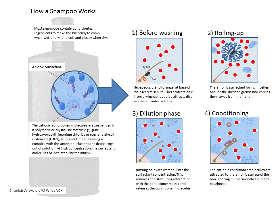 mengejar pelangi: #10 Shampoo Science
