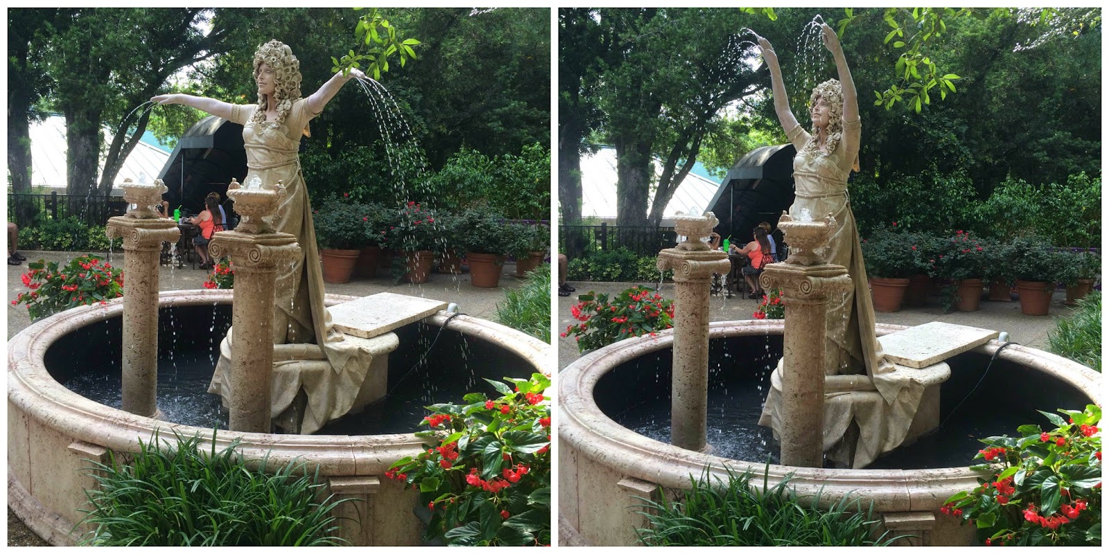 Busch Gardens Tampa - Martinis | Bikinis