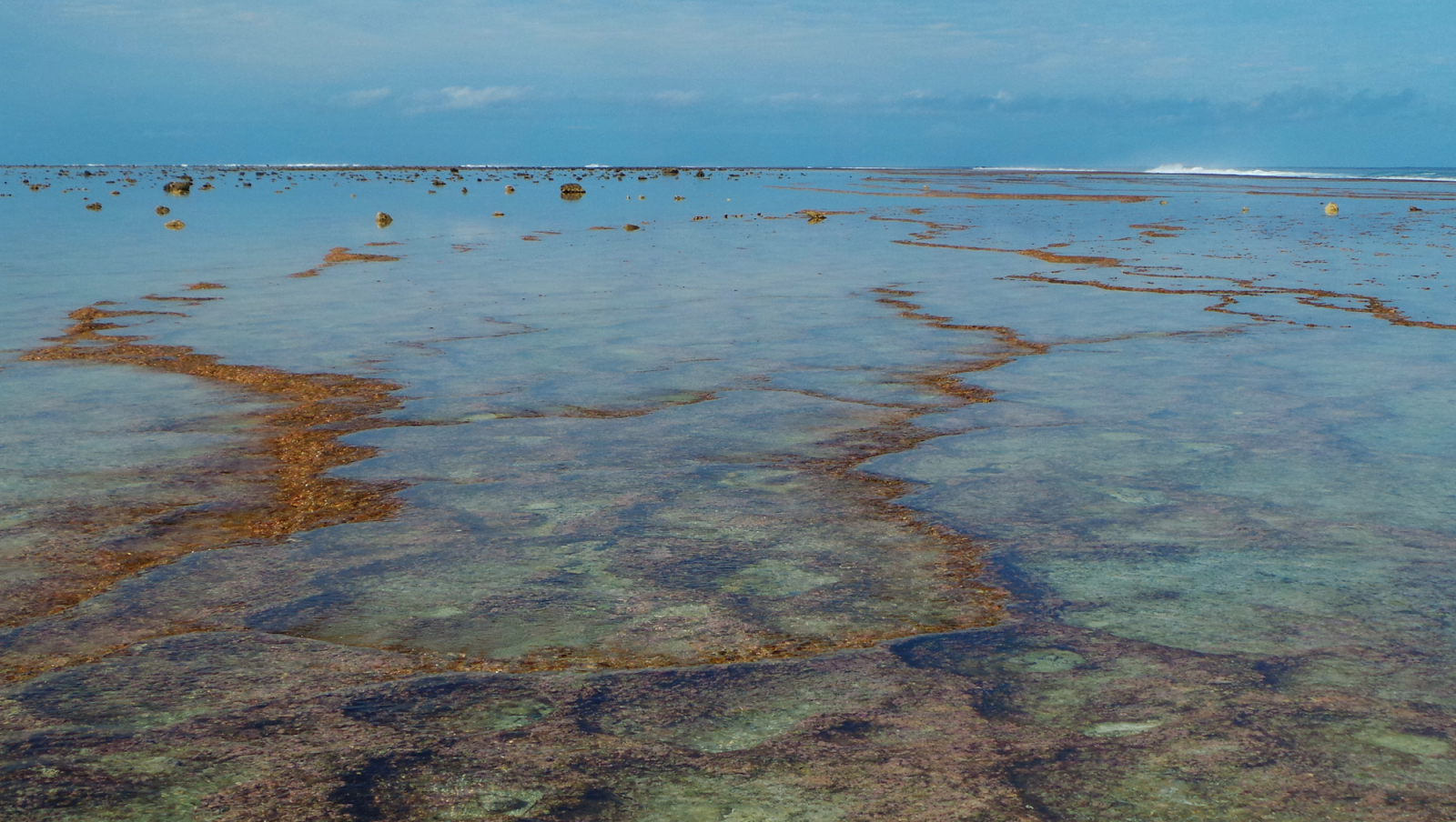 Sailing Amélie : Minerva Reef- Amazing how quickly one forgets…..