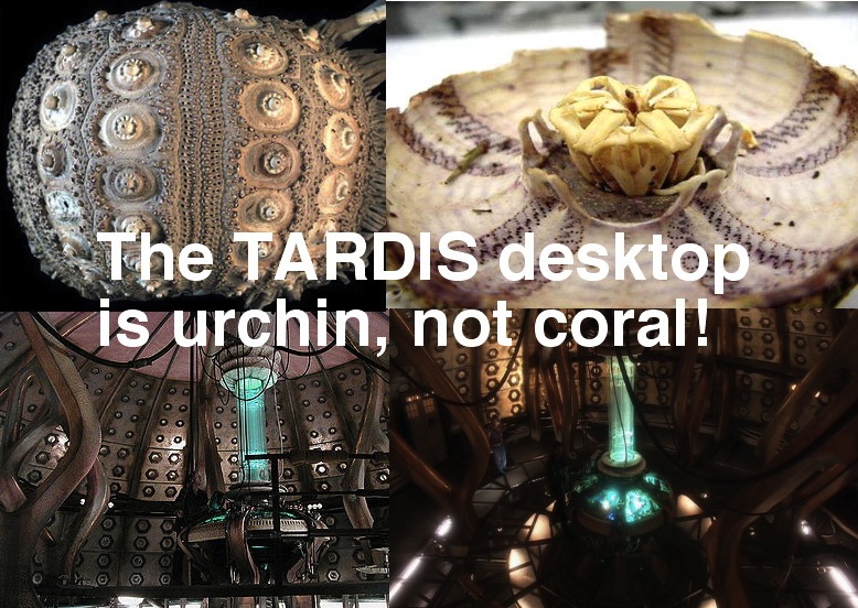 The Echinoblog: July 2008