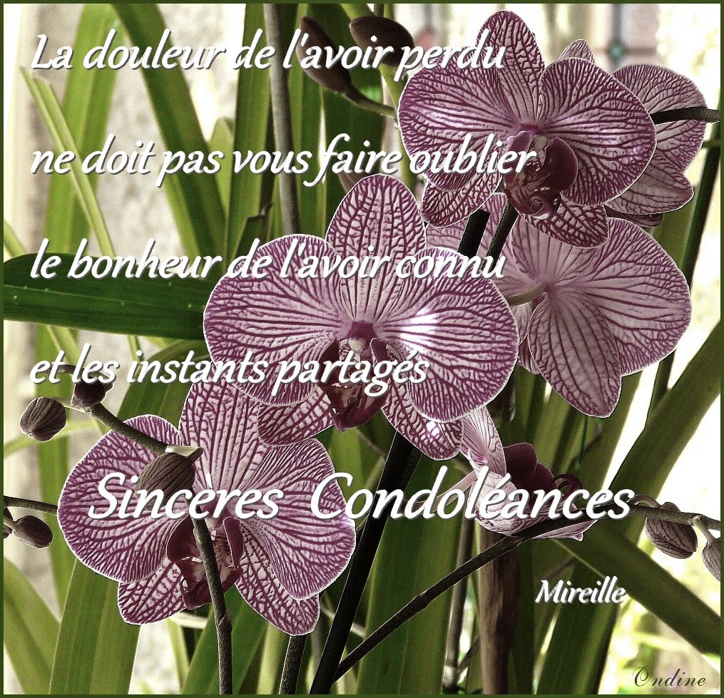 Carte De Condoléances ~ Message de condoléances - sms de condoléances ...