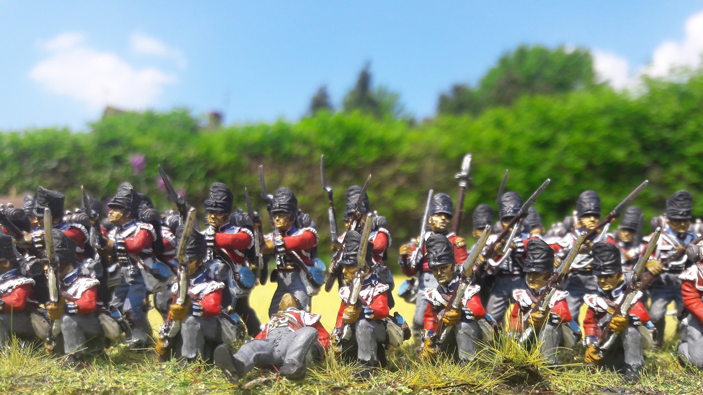 The British Army At Waterloo: 23rd Foot (Royal Welch Fusiliers)