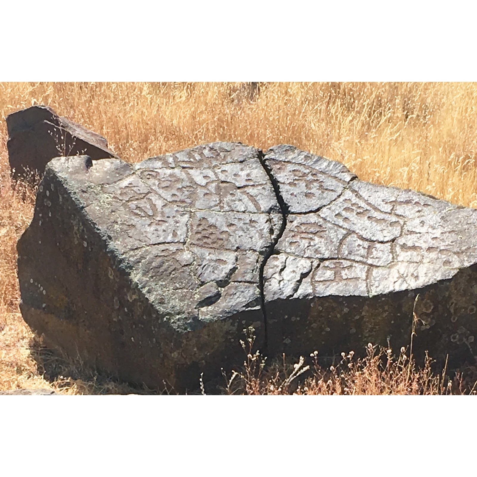 All This Is That: Columbia River Gorge