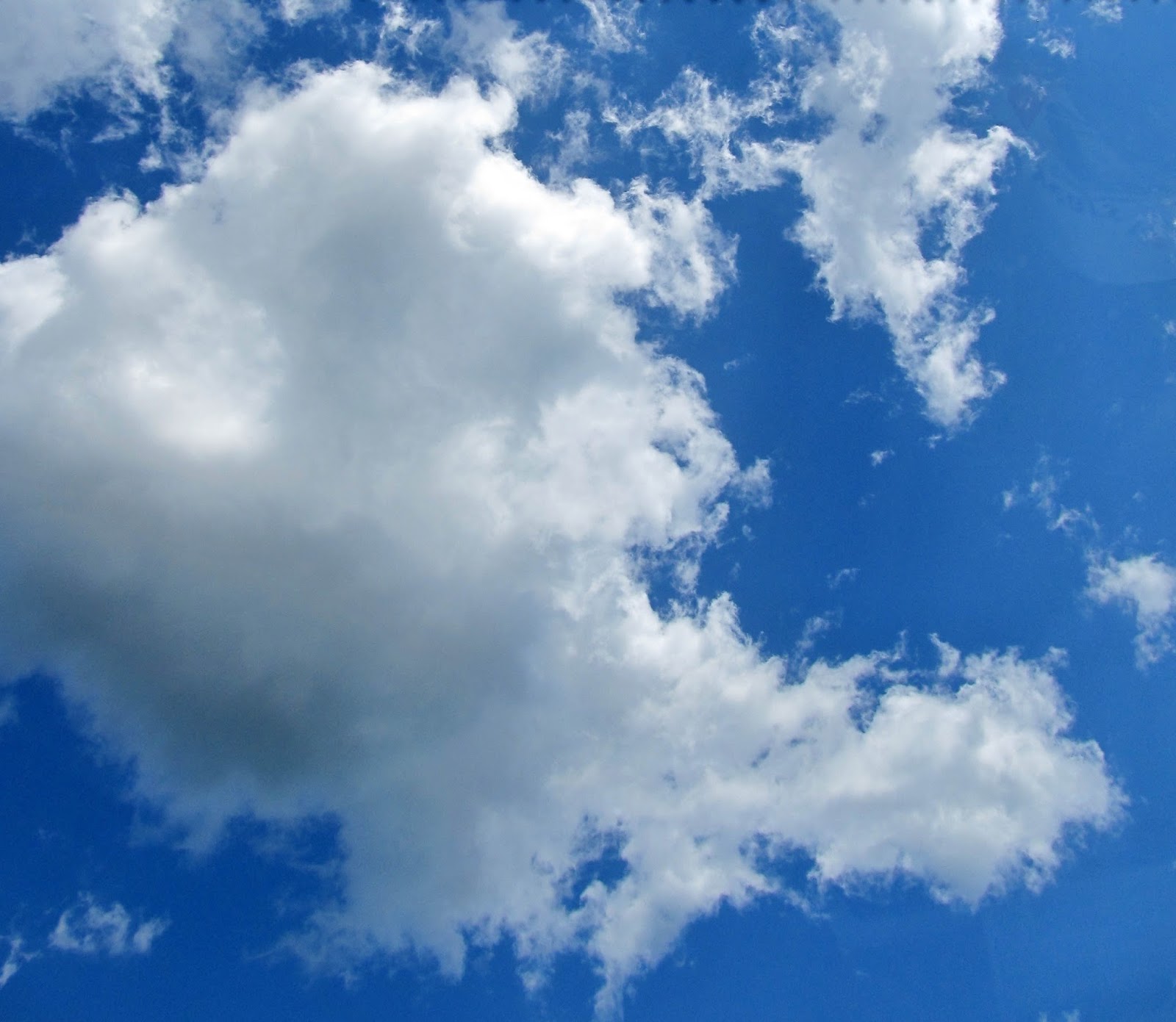 Tell Me a Story: It's Picture Day