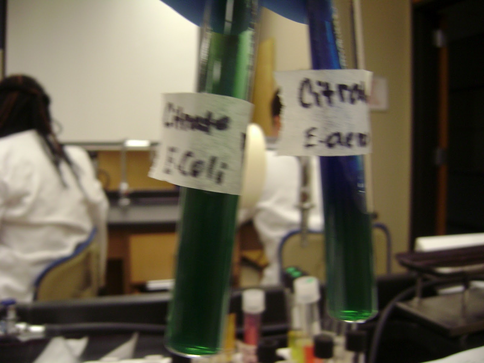 Bio E.journal: Citrate test