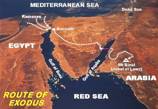 God's Gardener: Evidence of Red Sea Crossing