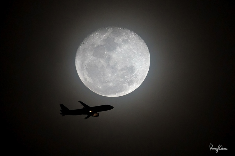 Romy Ocon's Wild Birds of the Philippines: 2011