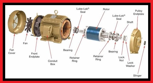 Three Phase Motor Construction (Exploded View) | Elec Eng World