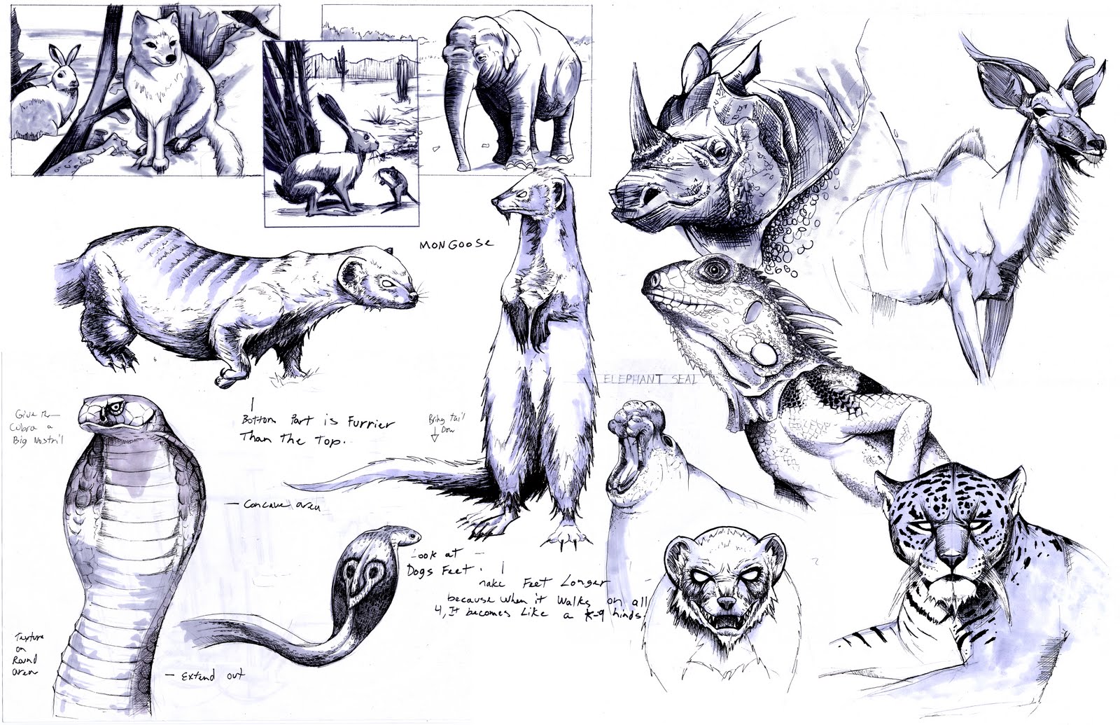 Mike's Sketchbook: Animal Sketches