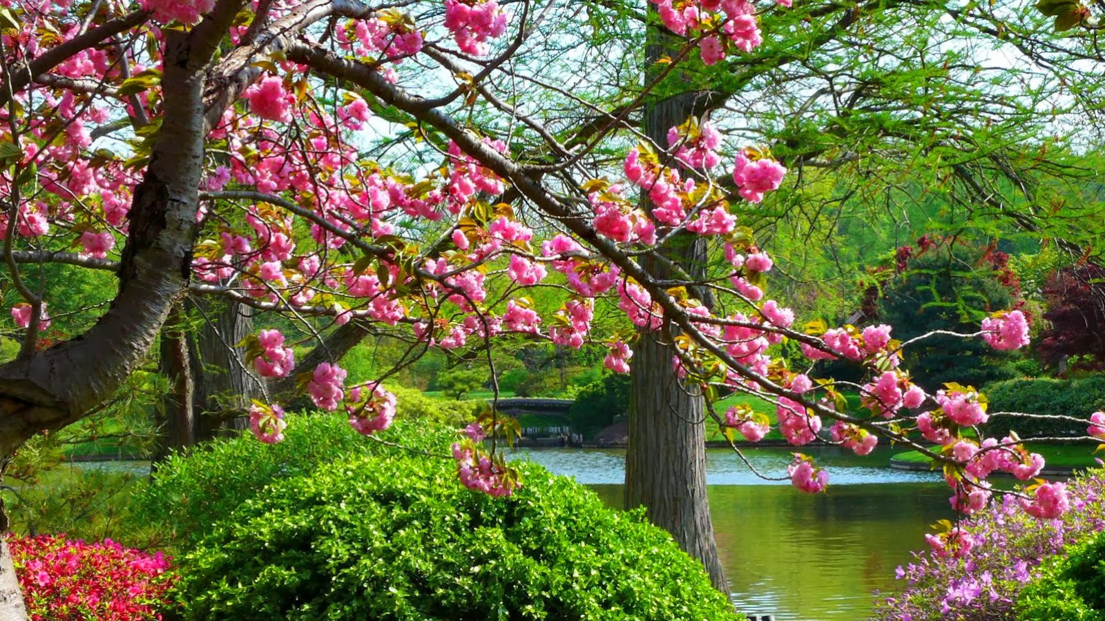 walpapers of nature | Best Wallpapers for you