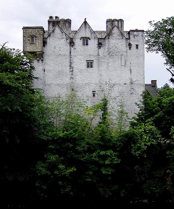 Climbing the Branches of My Family Tree: SATURDAY'S STRUCTURE - Donegal ...