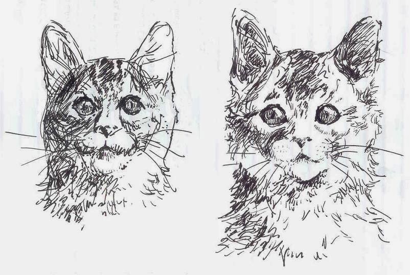 Two Line Drawings of a Kitten (Compared and Contrasted)