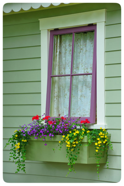 Johanna Parker Design: Twin Boxes of Cheer...