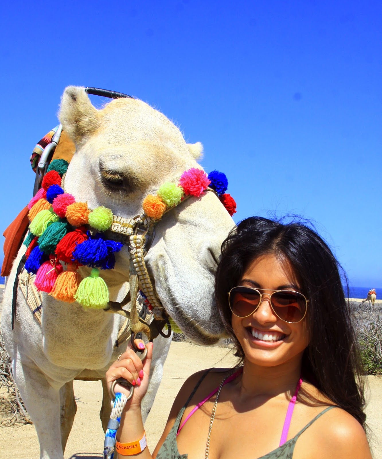 Travel in Stilettos: Camel ride in Cabo San Lucas