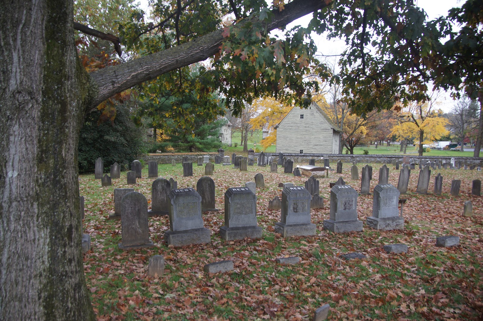 Extraordinary Stories From An Ordinary Guy: The "Beisselology: The ...