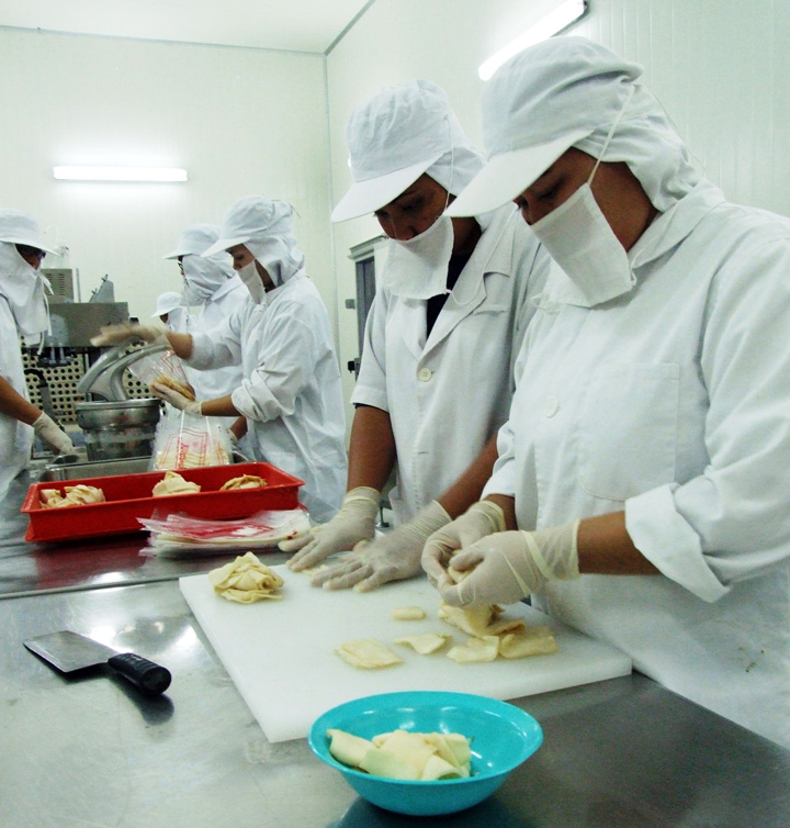 Ika Food Industries Sdn Bhd: IKA Food Industries Sdn Bhd -Setup