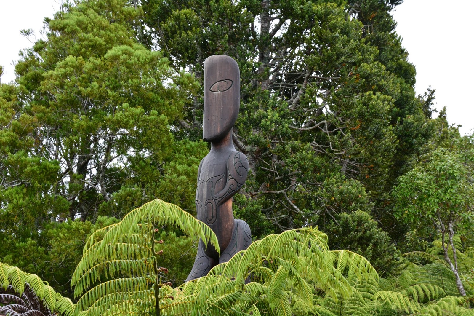PL Fallin Photography: Waitakere Range Park, Arataki Visitor Center New ...