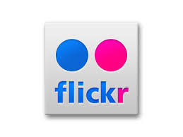 My Digital Media : ''Flickr'' - picture sharing site