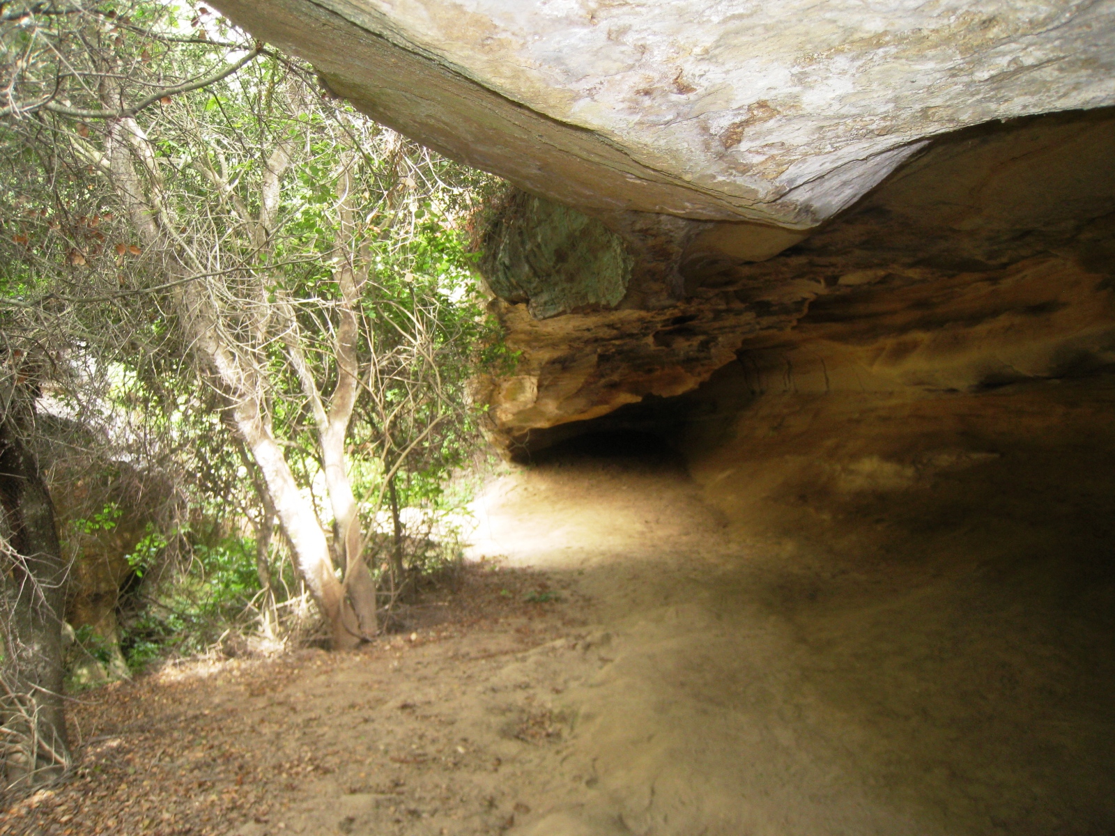 Aliso and Wood Canyons Wilderness Park (Dripping Cave aka: Robbers Cave)
