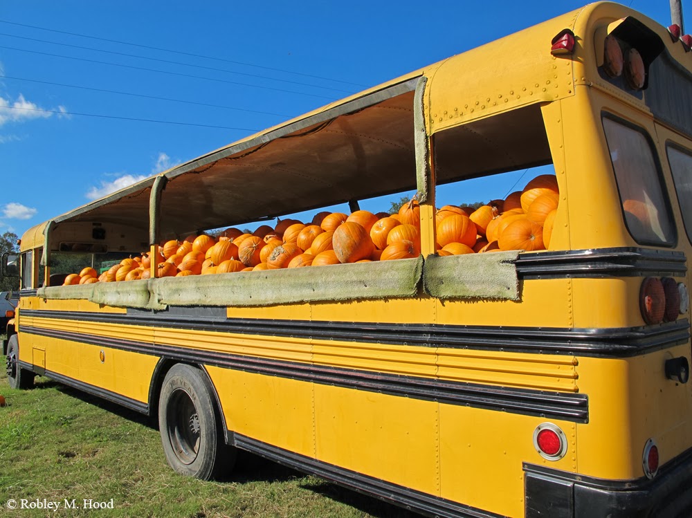 My Daily Snap: October 2013