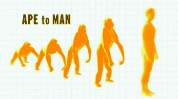Ape To Man | noEnigma