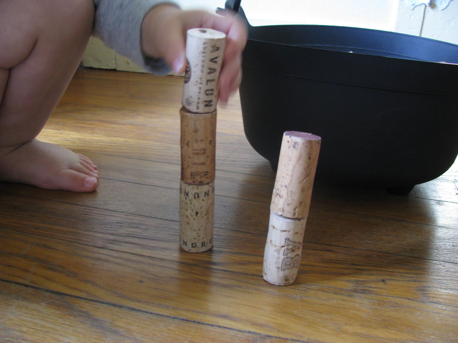 kats in the belfry: free toy in every package!