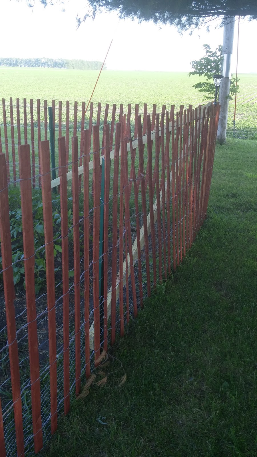 Protecting The Garden: Building A Critter Proof Fence - Living Life in ...