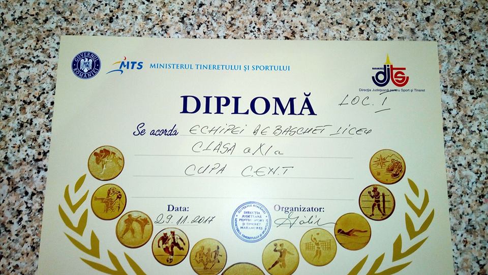 Colegiul Economic "Nicolae Titulescu": 11/17