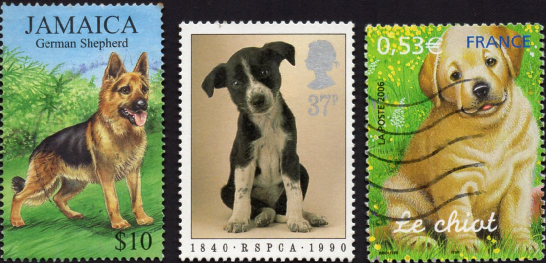 Stamp Right There: Dogs Stamps