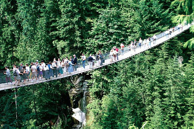 Travelling Place: Forest Capilano Vancouver, Canada|Tour And Travel