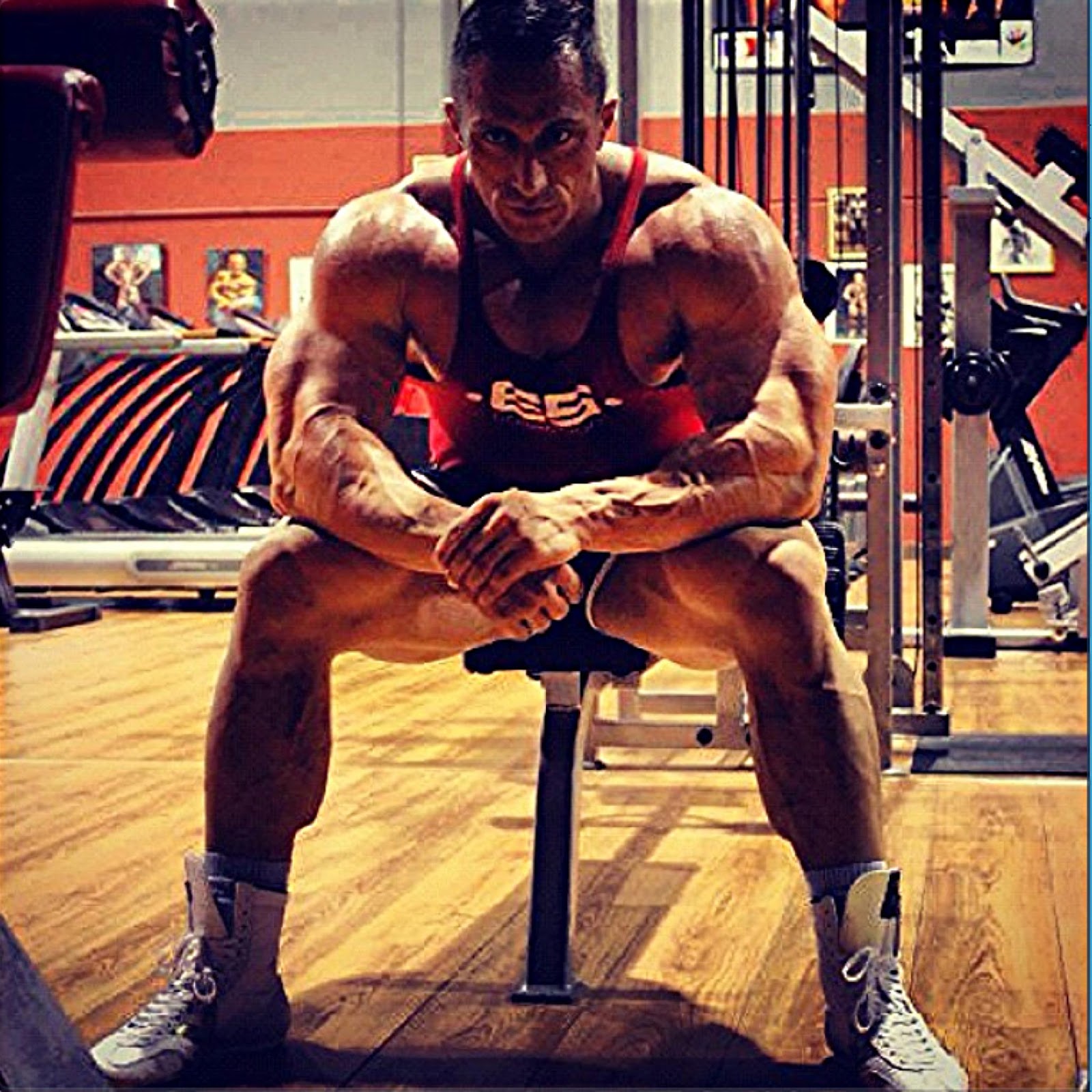 Bodybuilding Junction: Jordi Zafra