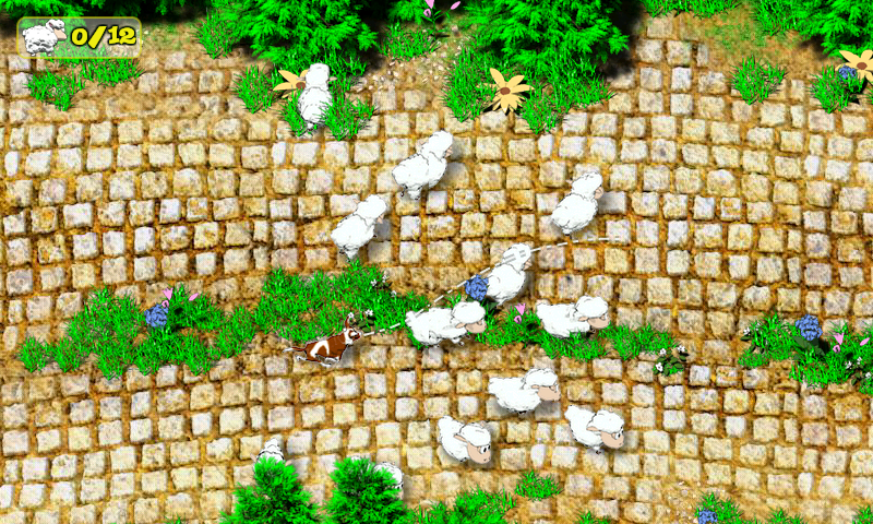 Humble Engineering: Guide the Sheep released into the wild