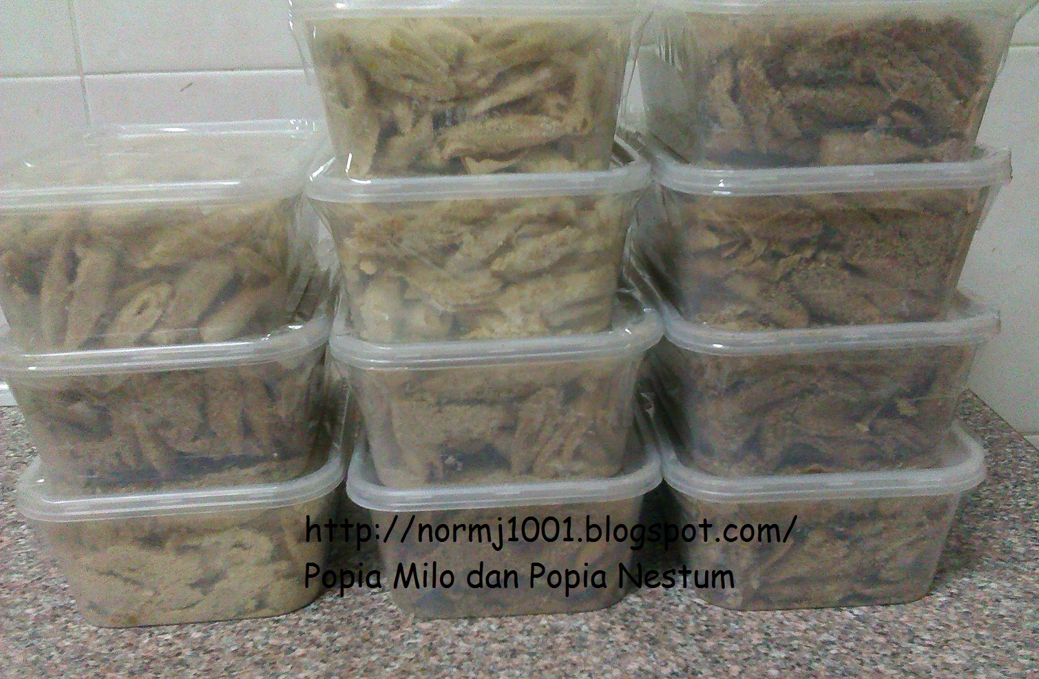 POPIA Nestum dan POPIA MILO di PENANG | CeLoteh MJ