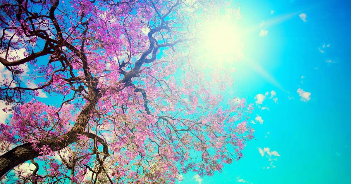 Priče iz Golubovog pera: Proleće